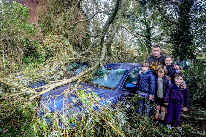 OVERZICHT. Storm Ciarán laat spoor van vernieling achter in Vlaanderen ...
