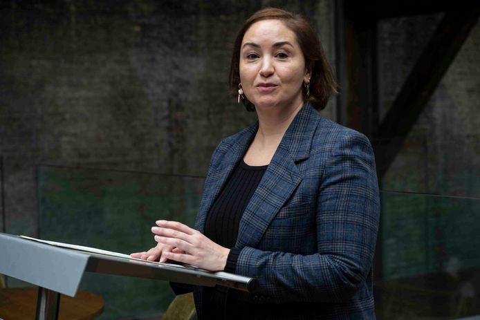 Antwerpse stadsdichter Ruth Lasters stapt op nadat stad gedicht weigert ...