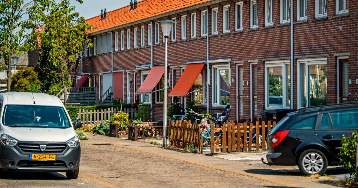 Havensteder Rotterdam