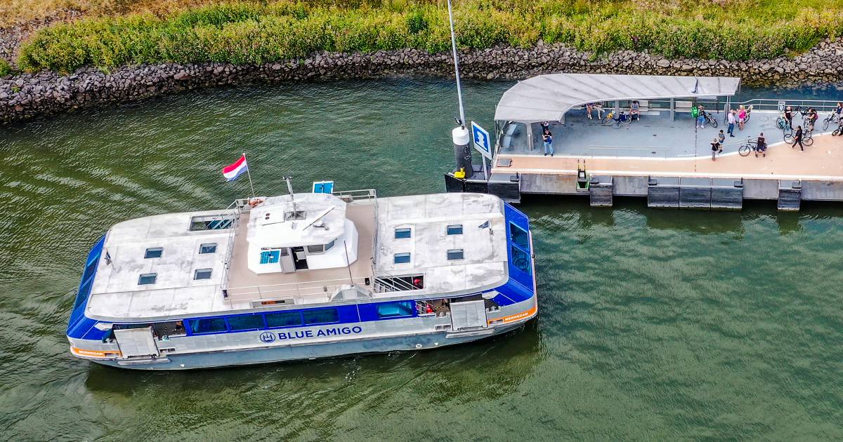 Blue Amigo krijgt opnieuw kans Expeditie Haringvliet waar te maken ...