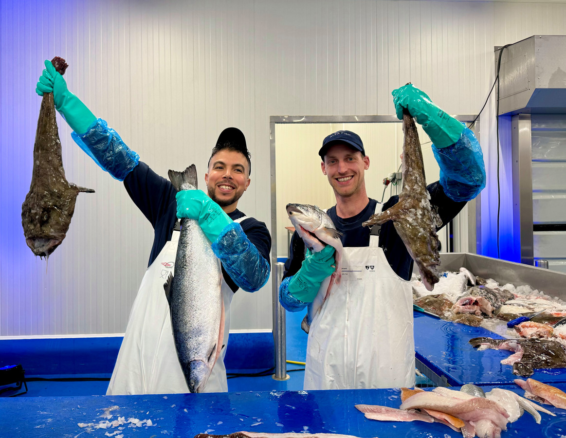 Drie ministers fileren een vis bij uitbreiding Alfa Fish in Sint-Lenaarts: “Ooit gestart in een ...