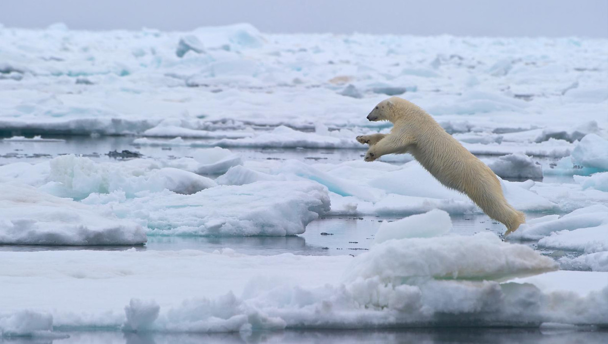 Gesmolten Noordpoolijs groeit moeizaam aan: ijsbedekking nooit zo laag