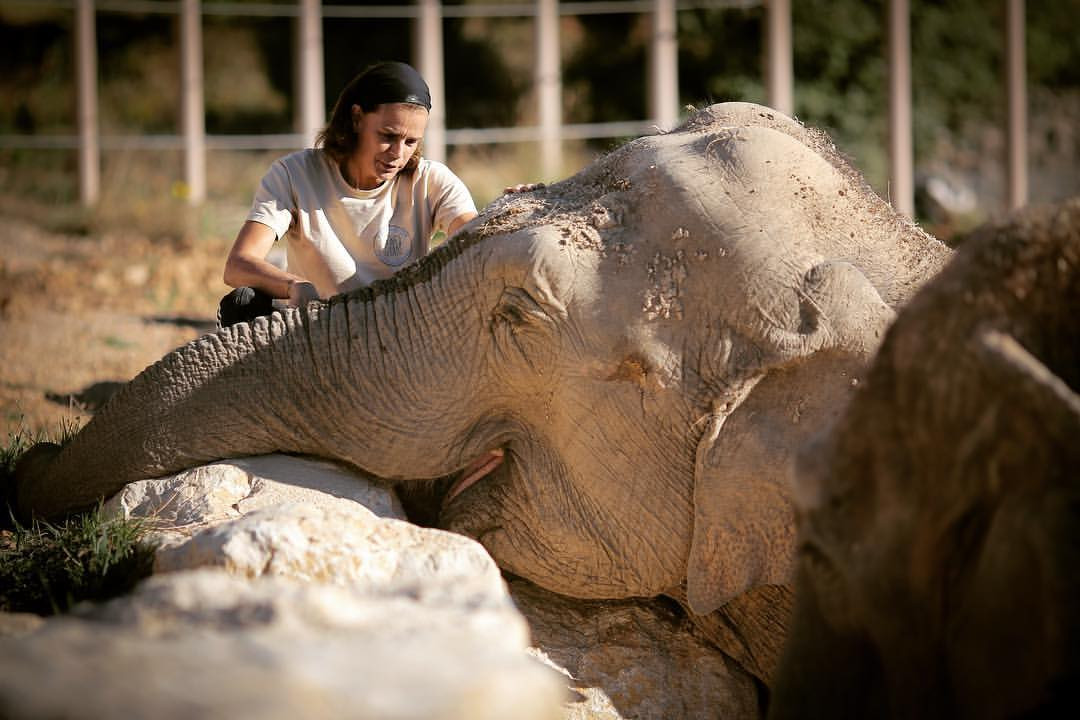 Mysterieus paradijs waar ze hun miserie vergeten: dit is Roc Agel, het ...