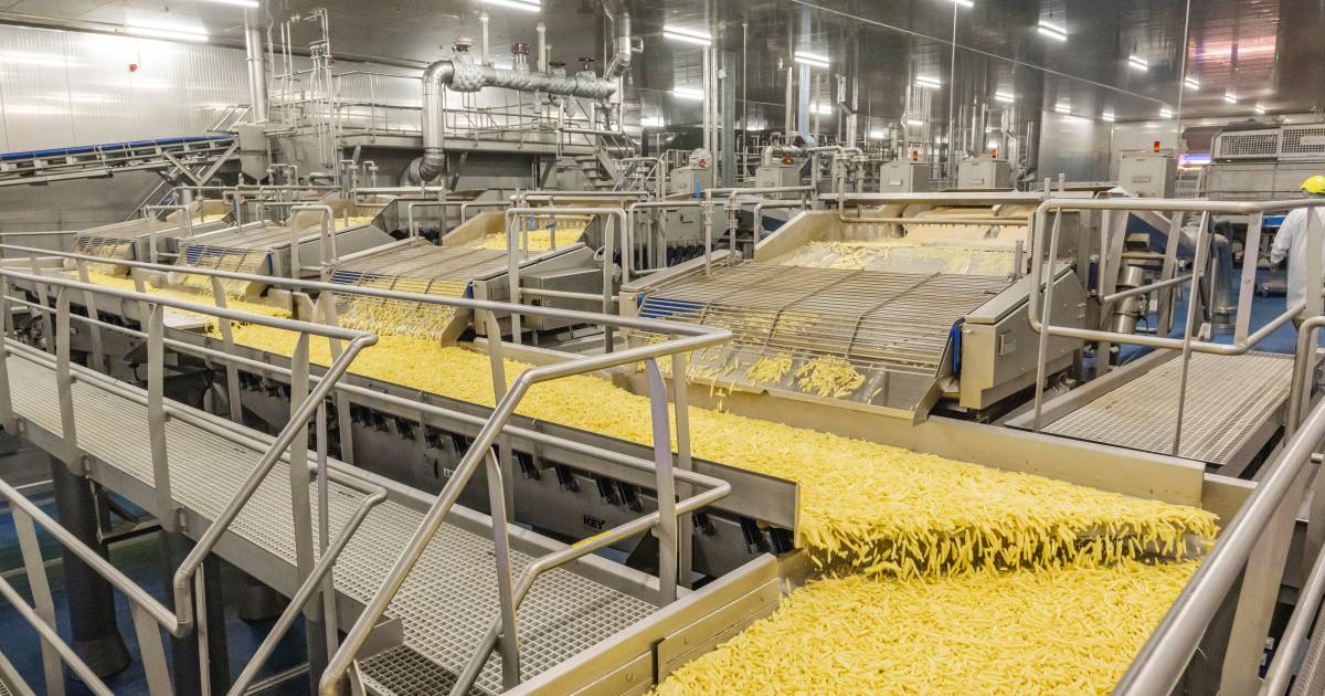 Modernste frietfabriek van Europa opent vandaag in ons land: 3,5 ...