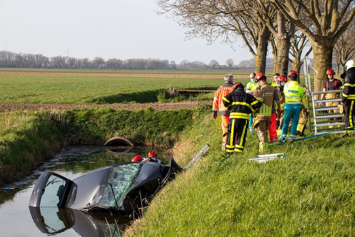 Automobilist zwaargewond als hij frontaal op boom botst en in sloot belandt in Nieuwendijk ...
