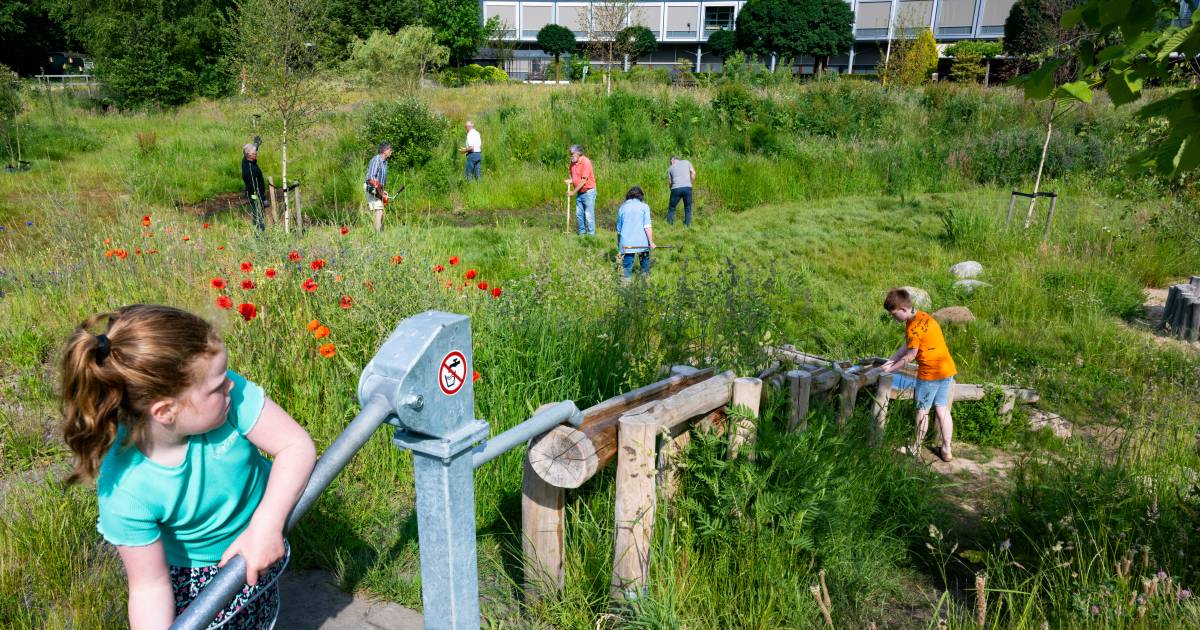 Een park dat veel meer is dan dat: ‘Natuur is de bebouwde kom in ...