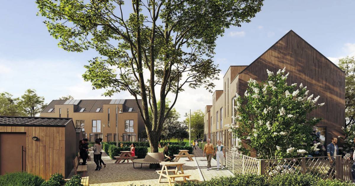 Eerste flexwoningen Wijk bij Duurstede al in september klaar: zo zien ...
