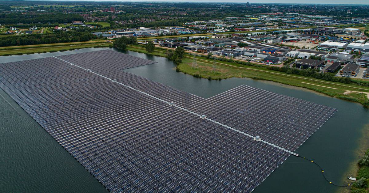 Zwemmen bij zonnevelden? Den Bosch begint met een proef op een van de ...