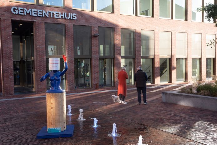 Academie palmt Rode Heuvel in met handen en beelden | Wetteren | hln.be