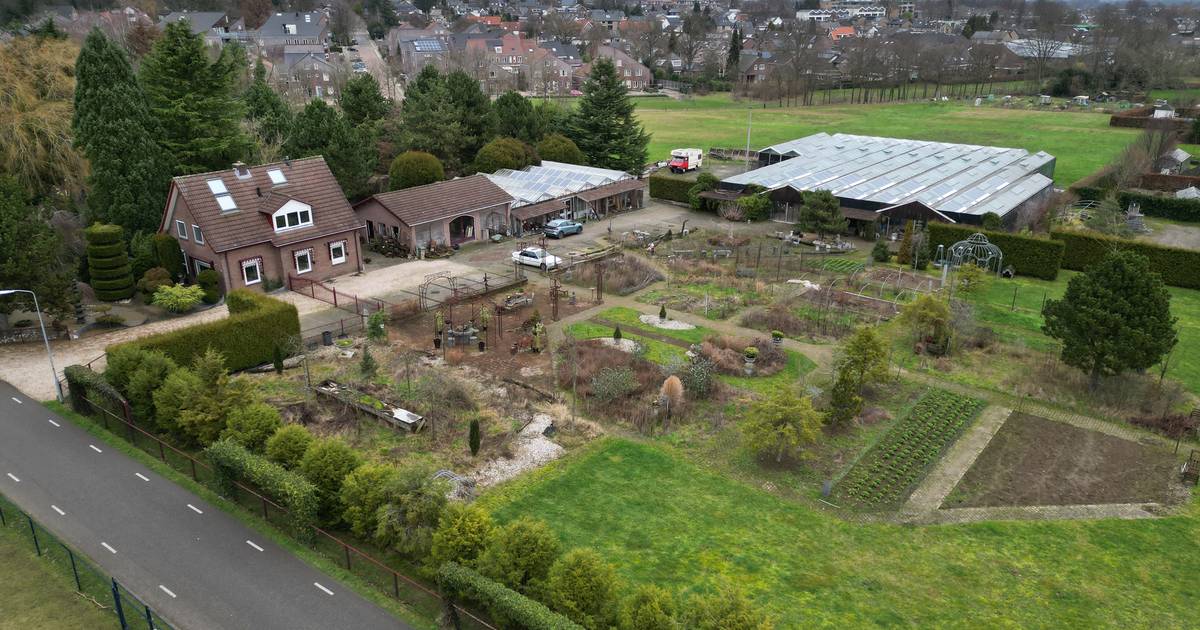 Pleidooi voor nader onderzoek nieuwe wijk Groen Groesbeek: ‘Prik de ...
