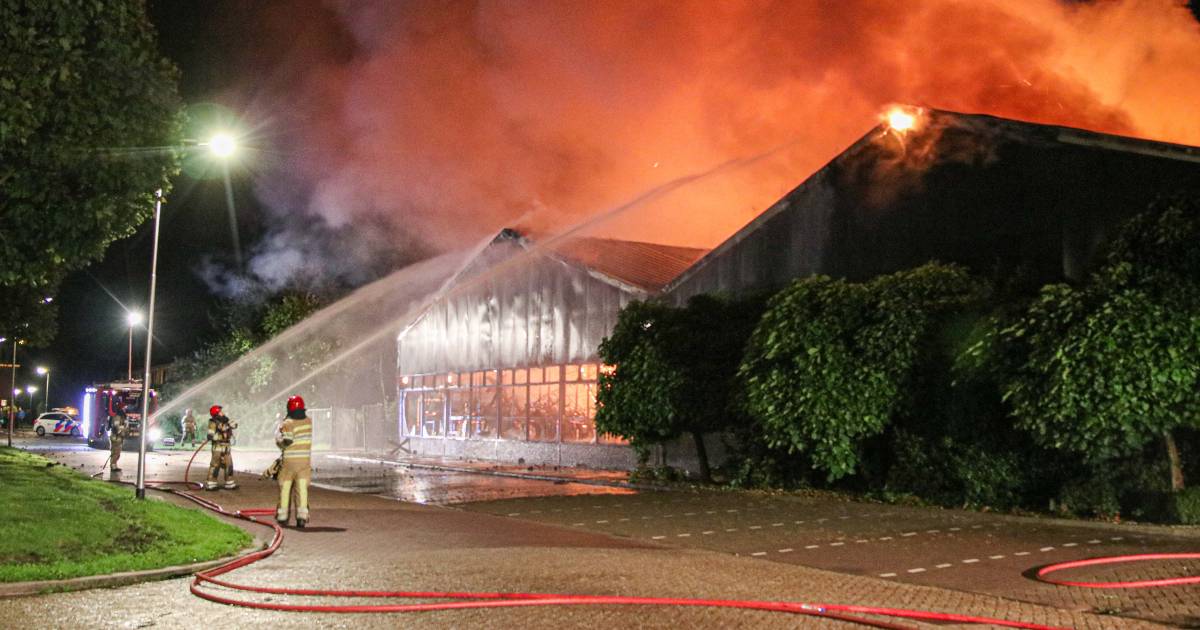 Grote uitslaande brand legt twee loodsen Ens in de as, brandweer weet ...