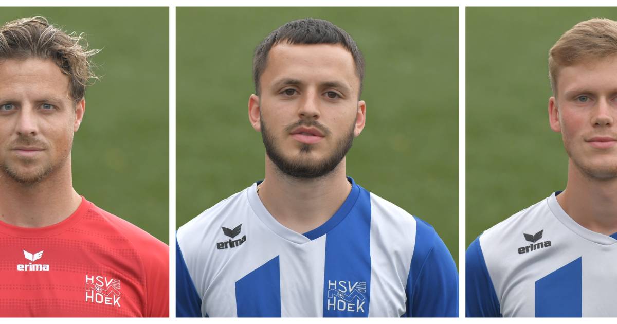 Knipping, Vandecandelaere en Goddyn langer bij Hoek | Terneuzen | AD.nl