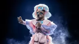 Wauw! Labradoodle doet 'Beautiful Things' met zijn stem! - The Masked ...