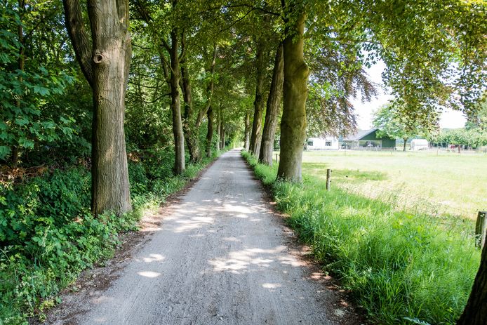 Plan landgoed Almelo valt slecht | Almelo | tubantia.nl