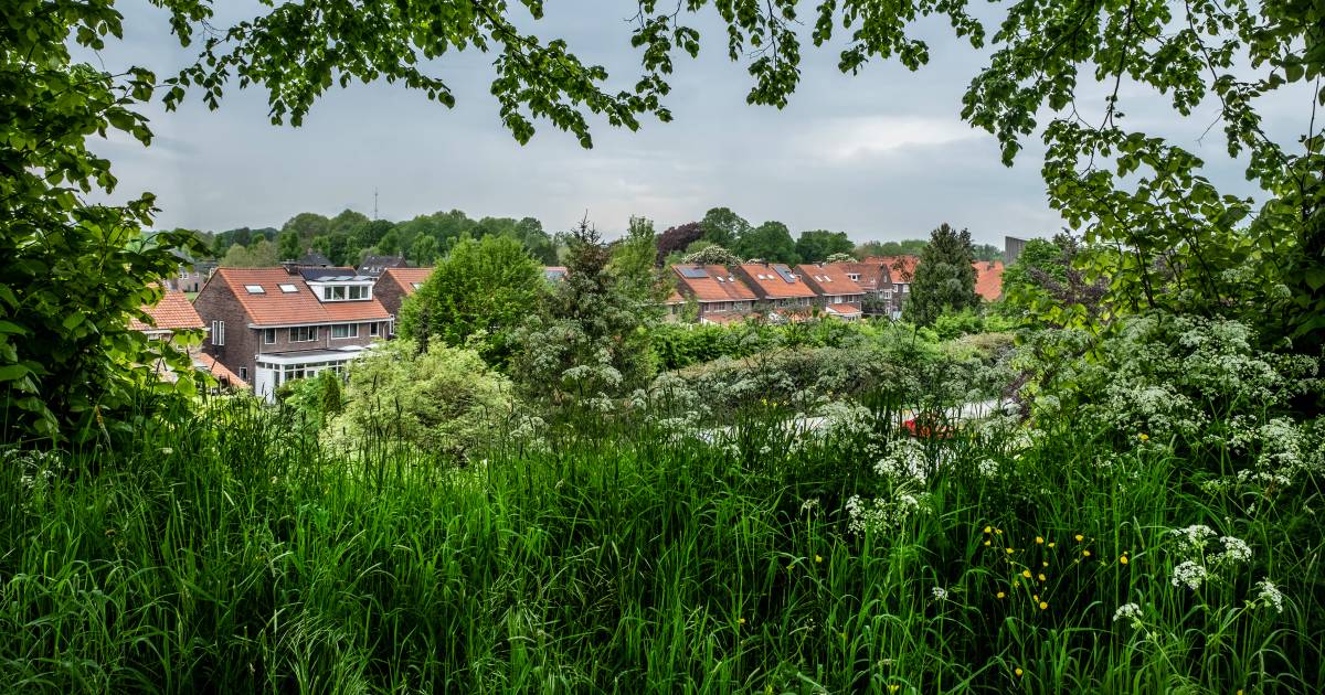 Barbecueën, moet je dat nog wel doen deze zomer? Nee, zegt ...