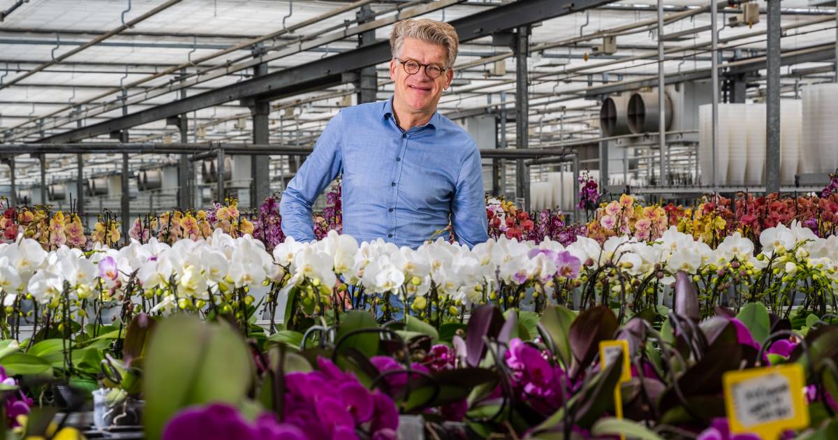 Voor je een orchidee in je huis hebt, legt-ie een jarenlange reis af ...