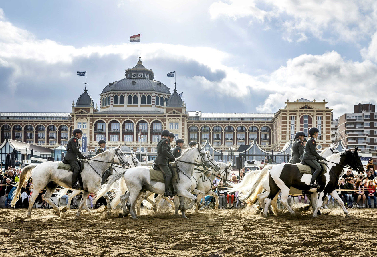 Paarden Setka en Gijs uit Leusden te spotten in Prinsjesdag-stoet: ‘Ik ...