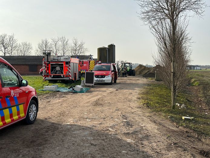 Brandweer moet varkens uit aalput redden | Oostkamp | hln.be