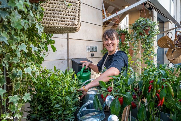 20 jaar Dille & Kamille in de Lange Zoutstraat: “Cadeautje, limited ...