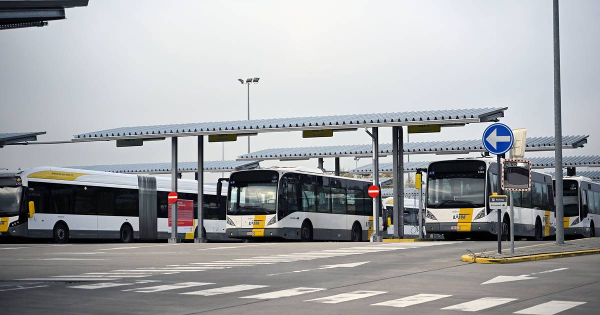 Bushalte Berg vanaf 1 januari verplaatst | Kampenhout | hln.be