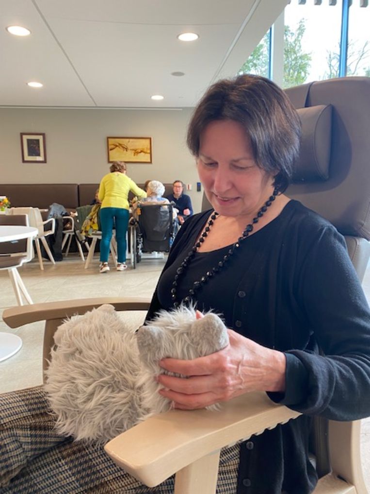 In Mariakerke haalt een robotkat mensen met dementie even terug naar de ...