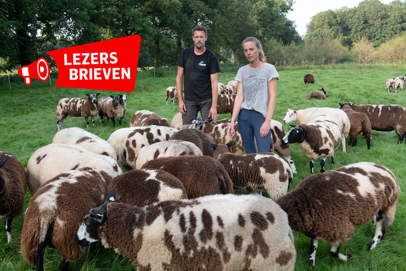 Lezers blijken voor- en tegenstander van de wolf te zijn: ‘Is de wolf ...