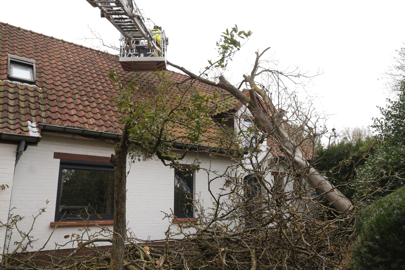 Hulpverleningszone Waasland krijgt 237 meldingen voor stormschade ...