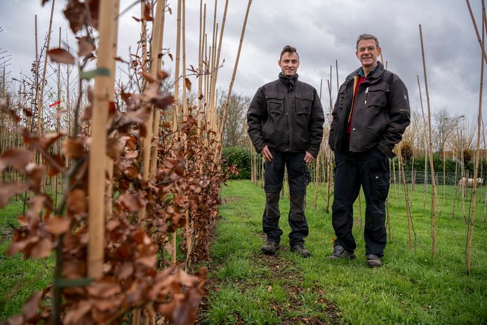 Begraven worden in de natuur kan nog steeds niet in Zeeland: ‘Maar ik ...