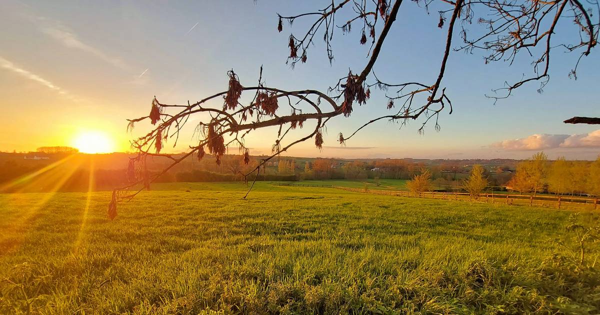 Landschapspark Vlaamse Ardennen krijgt de zegen van Maarkedal: het ...