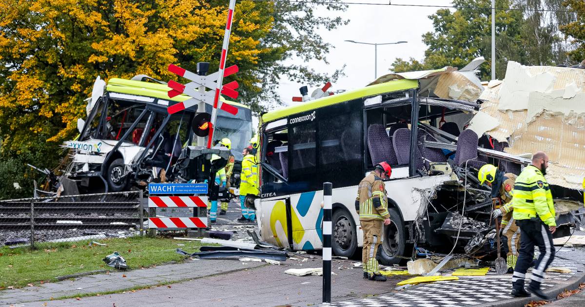 Trein die bus doorboort in Bergen op Zoom is wereldnieuws, CNN spreekt ...