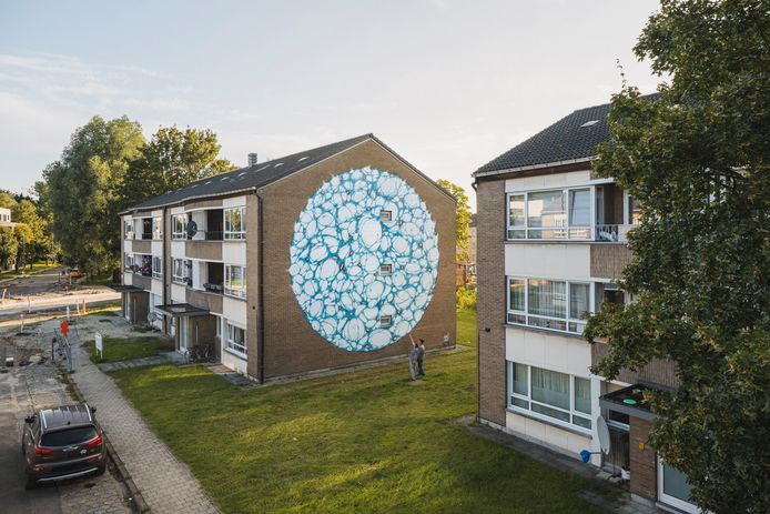 De zomer bracht nieuwe straatkunst naar Nieuw Gent: Goldmine blijft ...