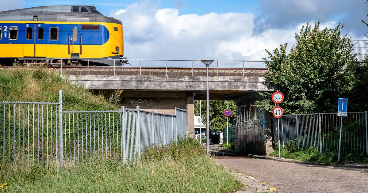 Leefbaar Rotterdam: ‘Grijp ProRail bij de lurven om onveilige tunnel op ...