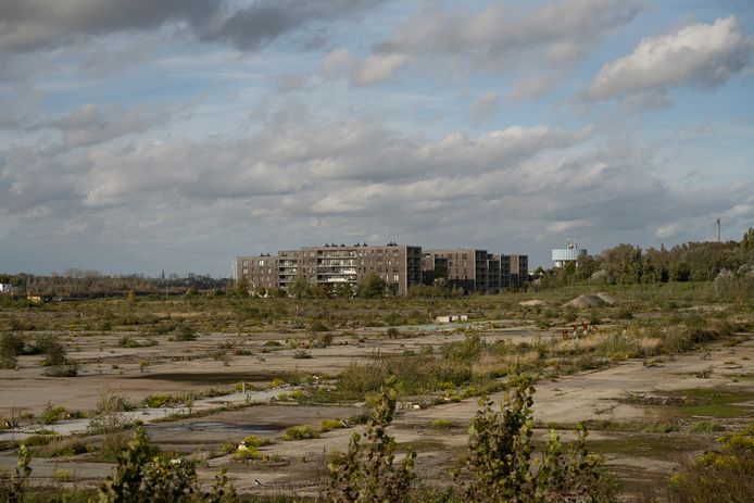 Vervuilde grond verdwijnt onder sarcofaag en dikke kleilaag: sanering ...
