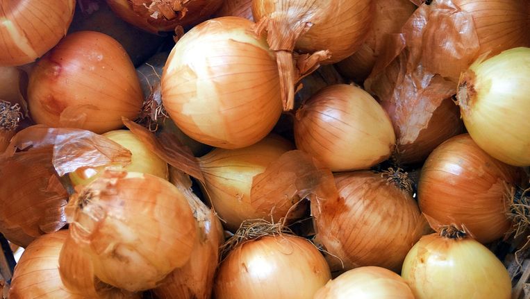 Nederlandse ui goed voor zilver | De Morgen