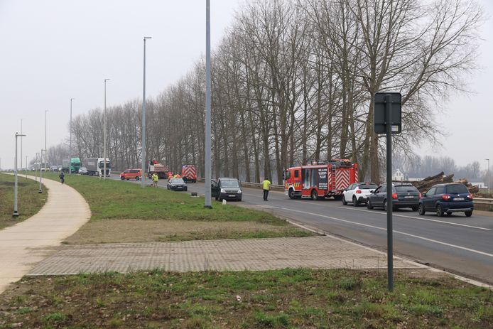 Verkeershinder op N41 na aanrijding tussen auto en vrachtwagen | Temse | hln.be