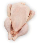 Pluimveeslachter Storteboom in Putten gaat 100.000 kippen per dag extra ...