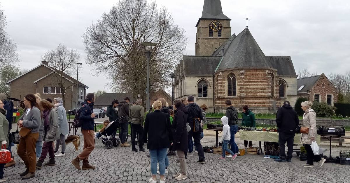 Velt viert 50ste verjaardag met Deelfestival en plantenruilbeurs in Massemen | Wetteren | hln.be