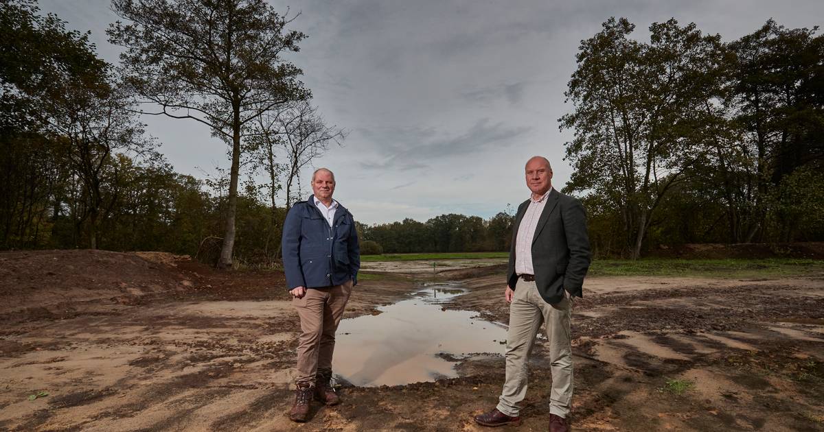 Baakse Beek wint 10.000 euro voor project om verdroging tegen te gaan ...