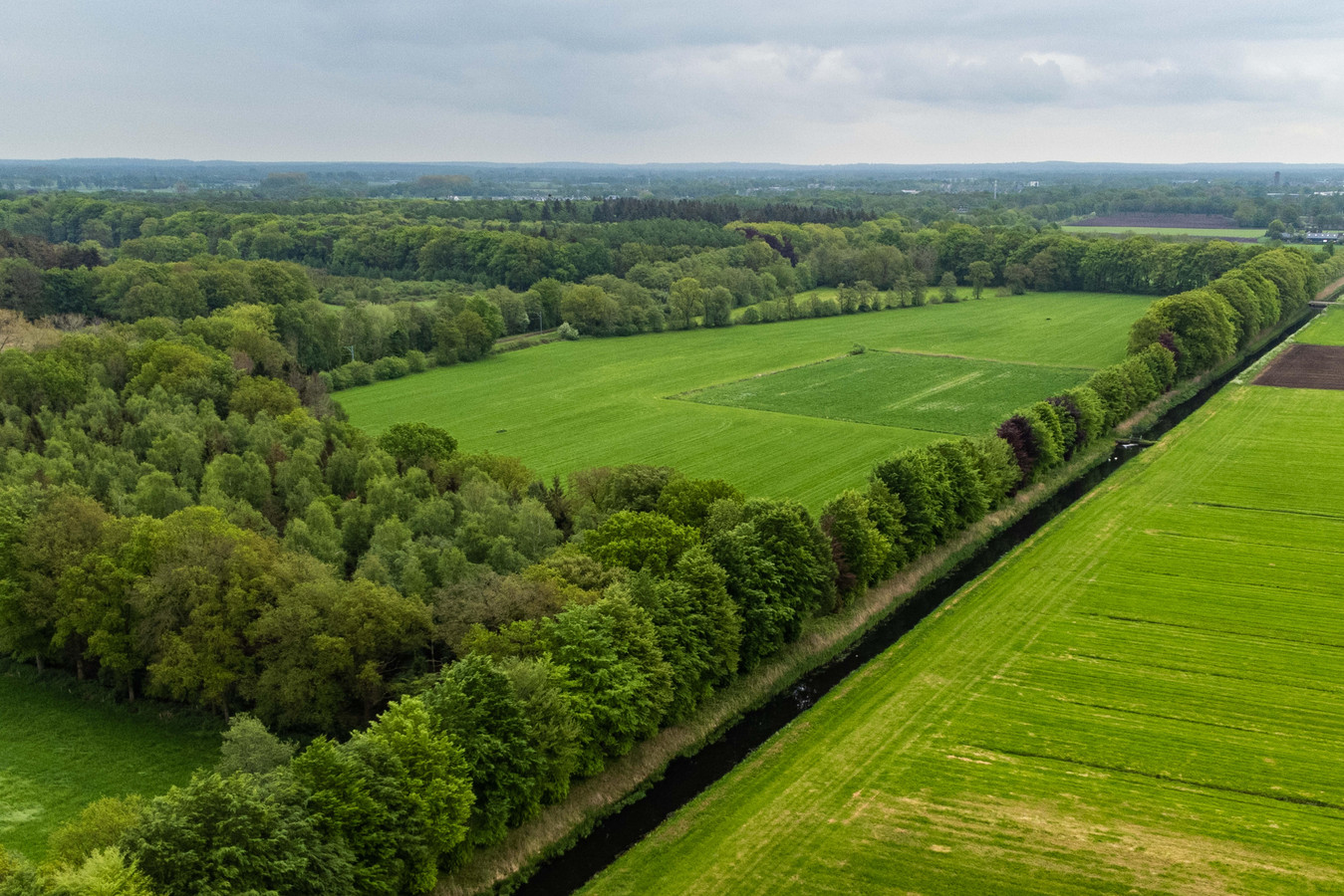 Grootste zonnepark van Raalte in aantocht vlak bij Kruispunt Bos ...
