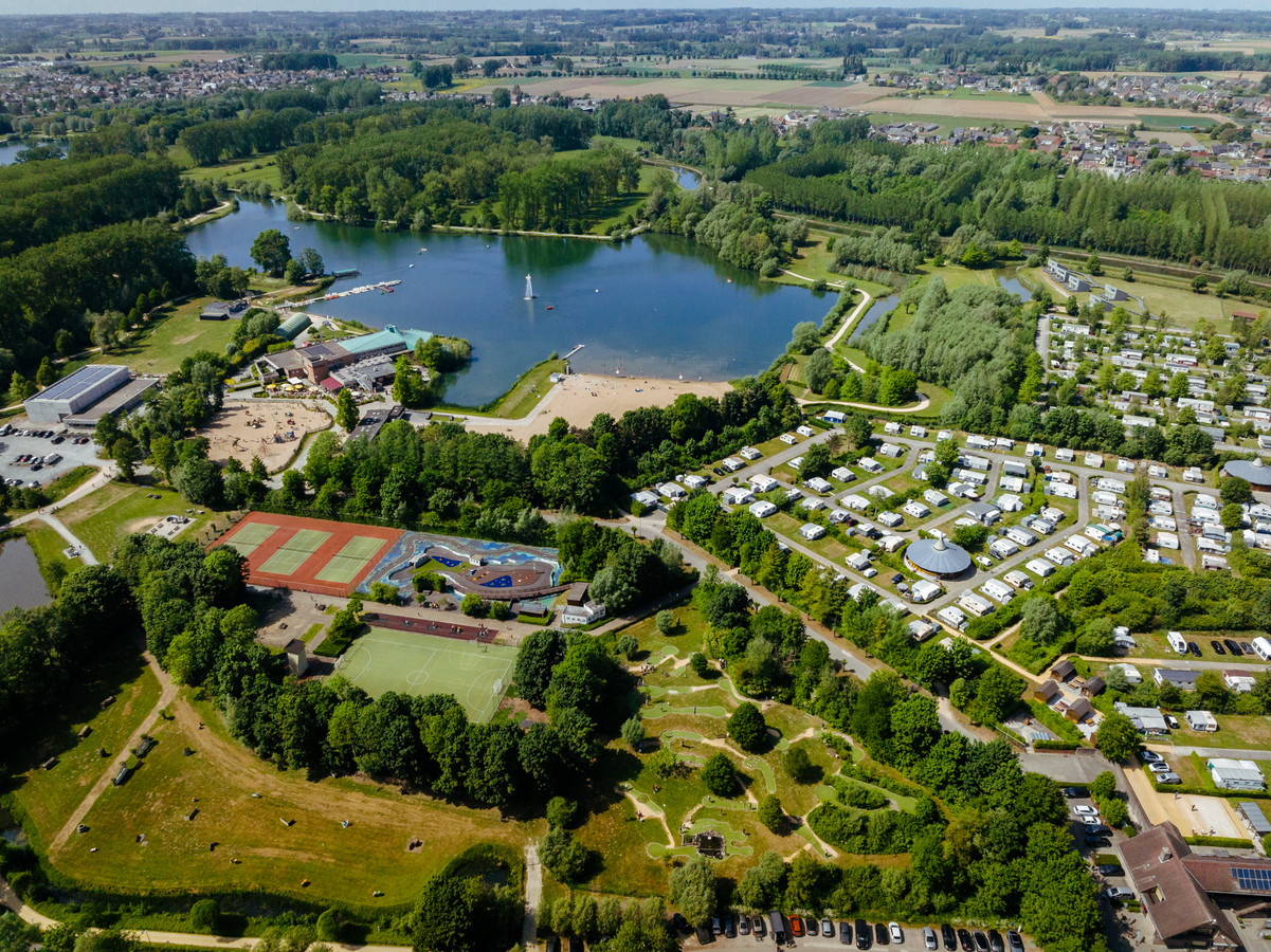 Schatten van Vlieg in provinciaal domein De Gavers | Foto | hln.be