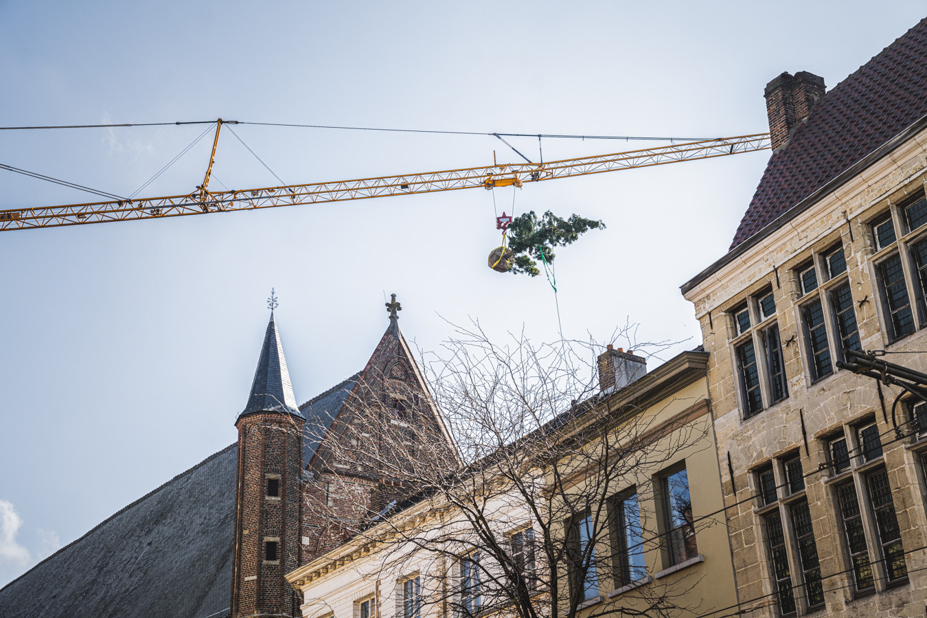 IN BEELD: Bomen worden 13 meter in de lucht getild aan de muren van het ...