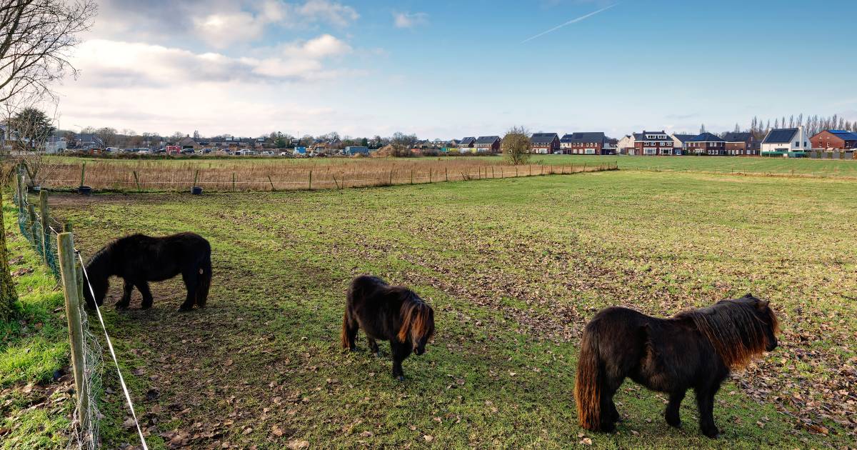 Parochie De Goede Herder wil geen luxe woningen op strook grond en ...