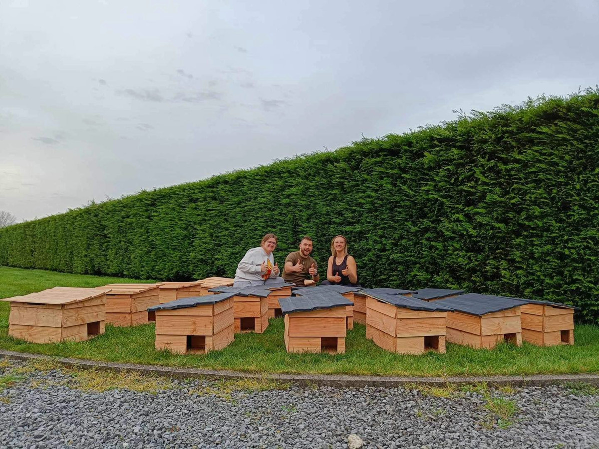 Studenten met een hart voor egels ontwerpen egelhuisje ‘HedgeHek’: “In ...