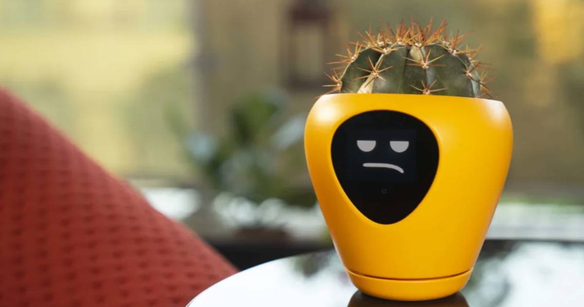 Lua, le pot connecté qui vous aide à ne plus tuer vos plantes ...