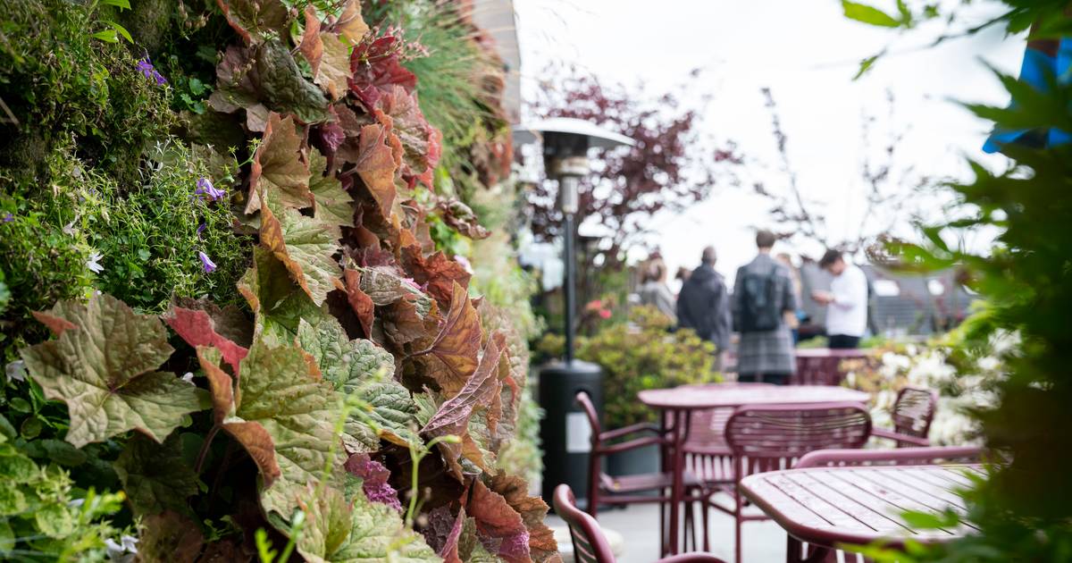 Trouwen in openlucht met zicht over Oud-Berchem? Yust opent daktuin ...