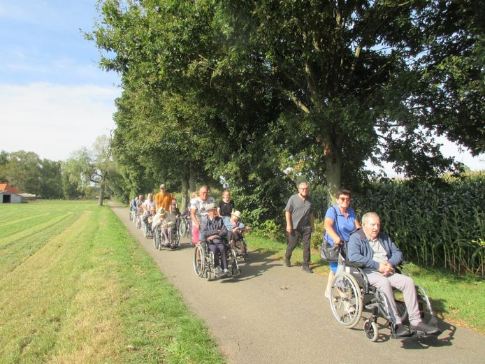 Dementievriendelijke wandeling doorheen Grobbendonk | Grobbendonk | hln.be