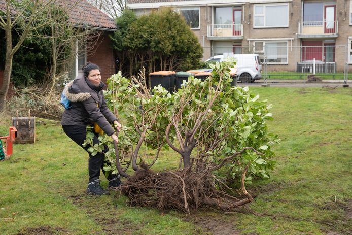‘Struikrovers’ straks actief in Veenendaalse wijk, met toestemming van ...