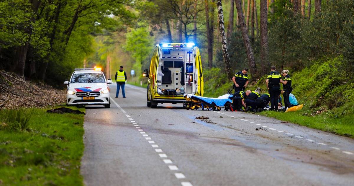 Plots staat er een wild dier op de weg: motorrijder gewond na botsing ...