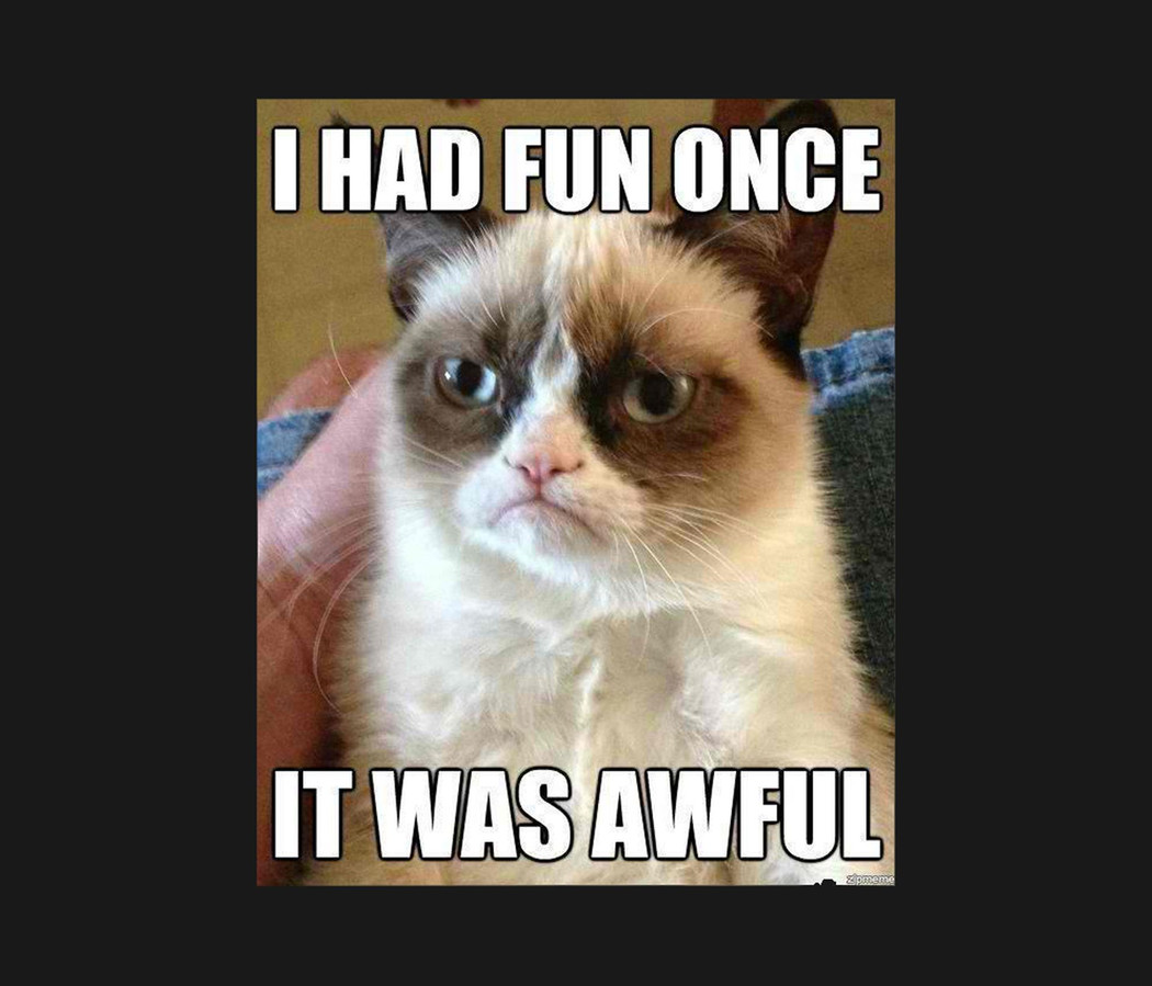 Internetfenomeen Grumpy Cat overleden | Foto | AD.nl