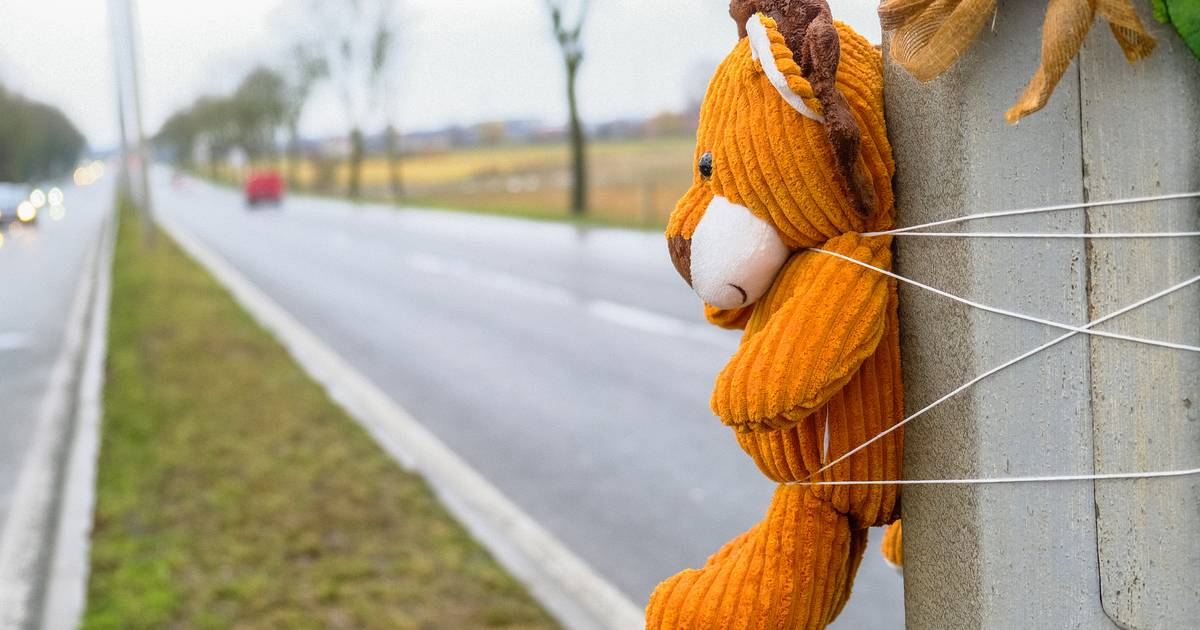 Obstakels veroorzaken meer dan 1 op de 4 doden op de weg. Touring ...